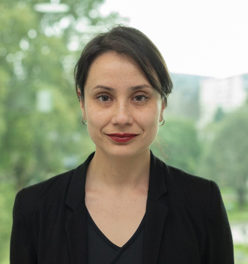 CAMILA MELLA SAN MARTÍN – Sitio Web VIP